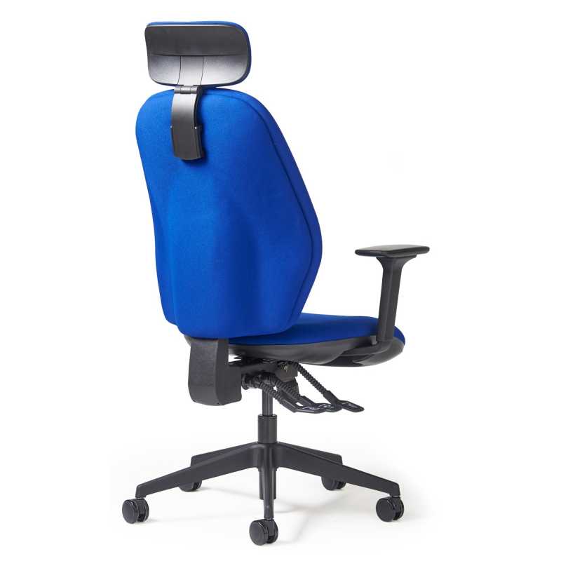 Adapted Orthopaedic Ergo Chair 6