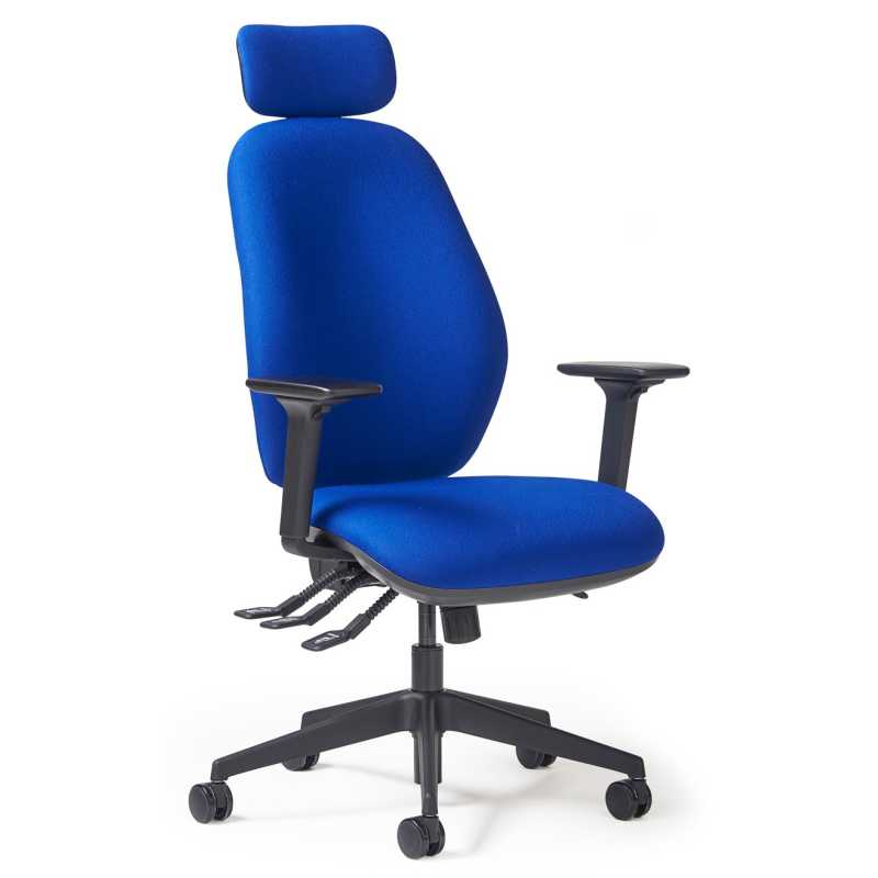Adapted Orthopaedic Ergo Chair 6
