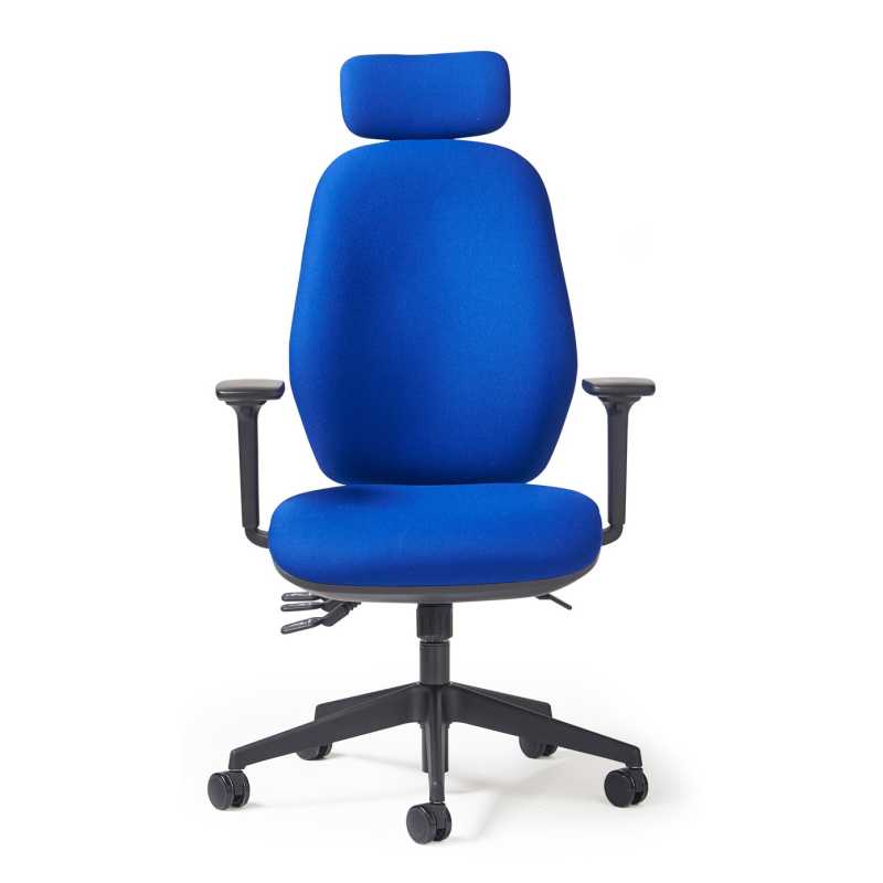 Adapted Orthopaedic Ergo Chair 6