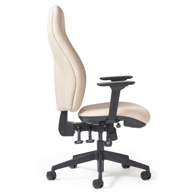 Adapted Orthopaedic Ergo Chair 7