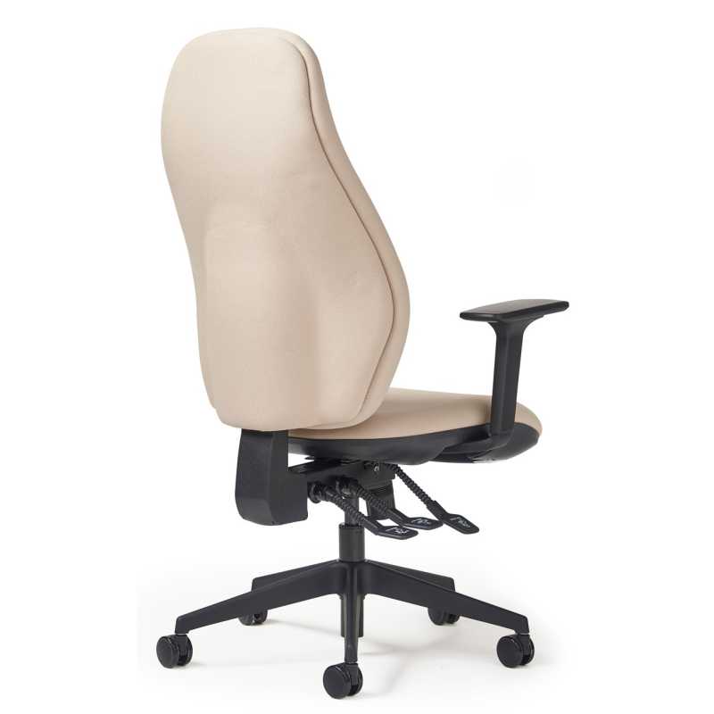 Adapted Orthopaedic Ergo Chair 7